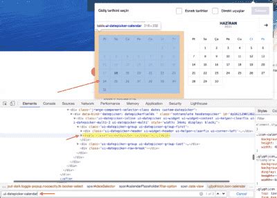 How To Select A Date From Datepicker In Selenium