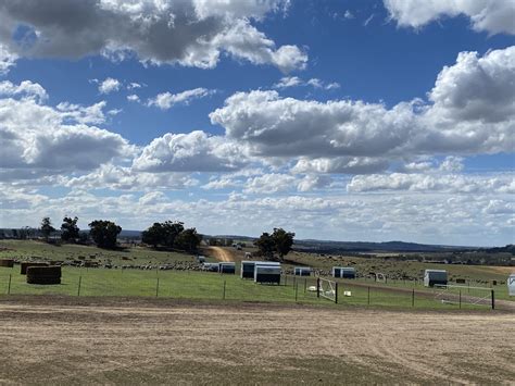 Confinement Feeding And Deferred Grazing Facey Group