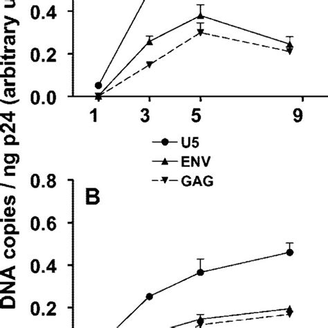 Kinetics Of Synthesis Of Dna By Wt Virus Following Infection Of P4 Download Scientific Diagram