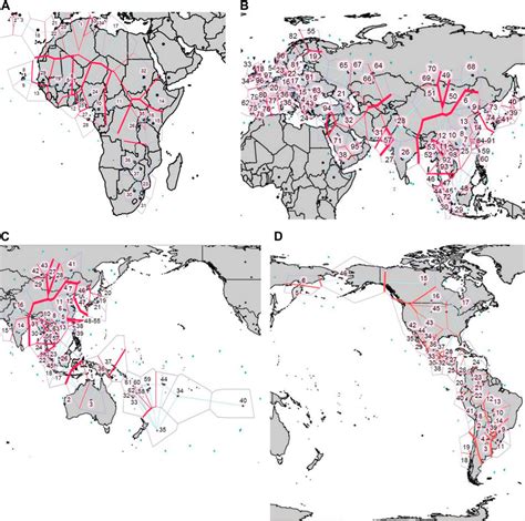 Frontiers An Hla Map Of The World A Comparison Of Hla Frequencies In 200 Worldwide