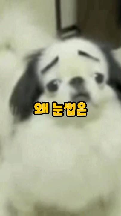 머리카락은 계속 자라는데… 왜 눈썹은 짧게 자랄까🤔 Youtube