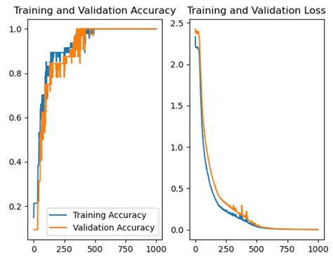 Training Processing Of Classification Left Accurary And Right Loss