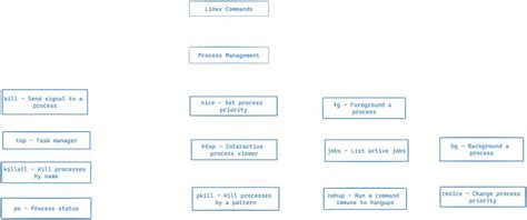 Ai Generated Diagram For Linux Process Commands Ahmed Zakaria Posted