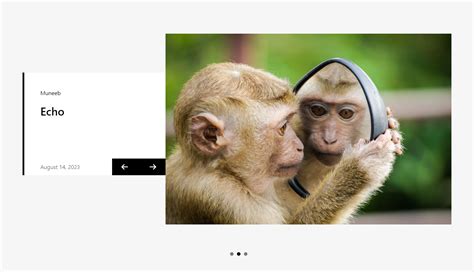 Library Sliders Block Slider