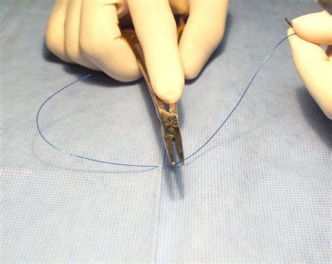 Suture Patterns Simple Interrupted 04 In Cows Bovis Vetlexicon