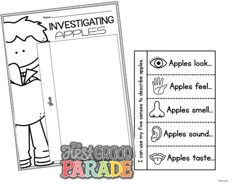 Apple Fun For EVERYONE Cara Carroll