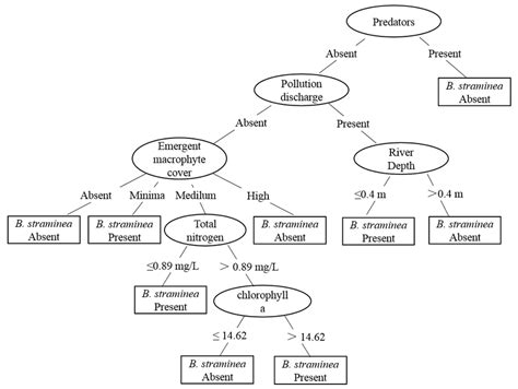 Classification Tree Model Predicting The Presence Or Absence Of