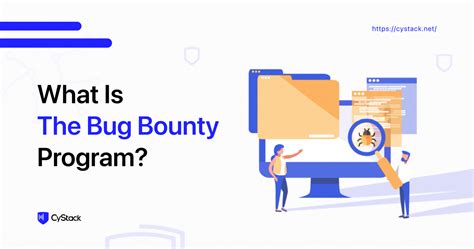 What Is The Bug Bounty Program