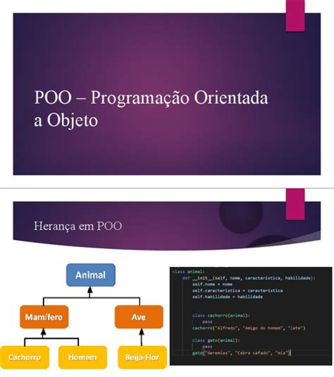 Poo Programação Orientada A Objeto Pdf