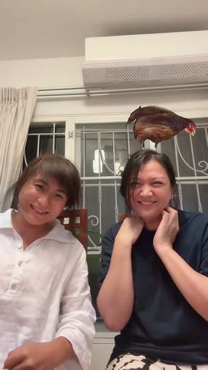 ကြက် ခေါင်းပေါ်တက်နေပြီရှင့် 😂 Youtube