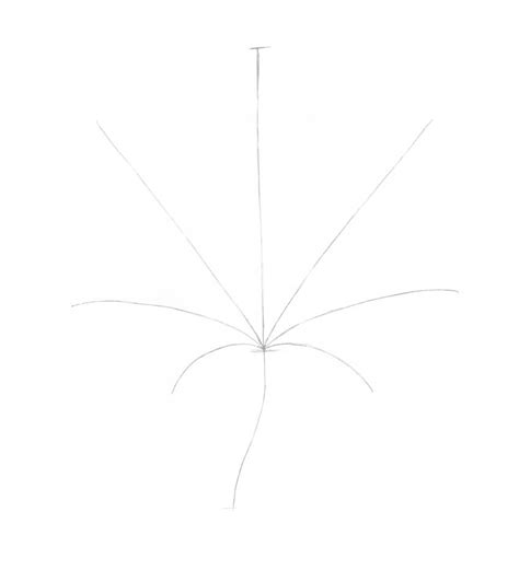 How To Draw A Leaf Step By Step Envato Tuts