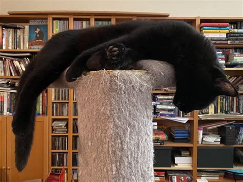 The AC Isnt Working Properly R Blackcats