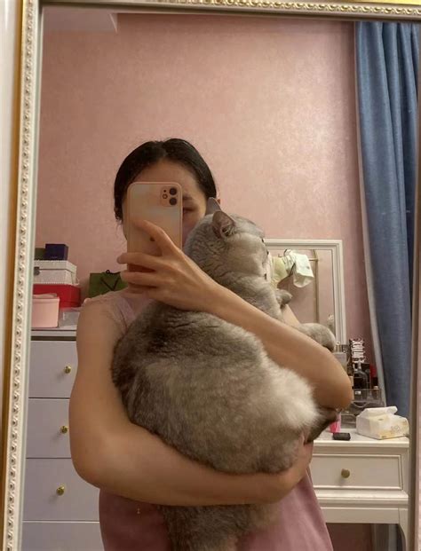 C G I B B Ng Tr C M N Chia Tay I T Nh Ph C C S N Si B Ng K Chi Ti T T Ph A Tra Nam