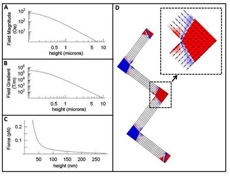 Calculation Of A Magnetic Field And B Field Gradient From The