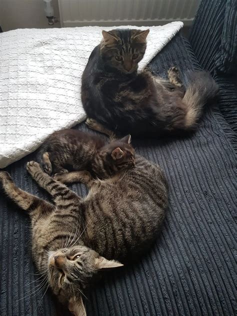 Mother Father And Son💯 Scrolller