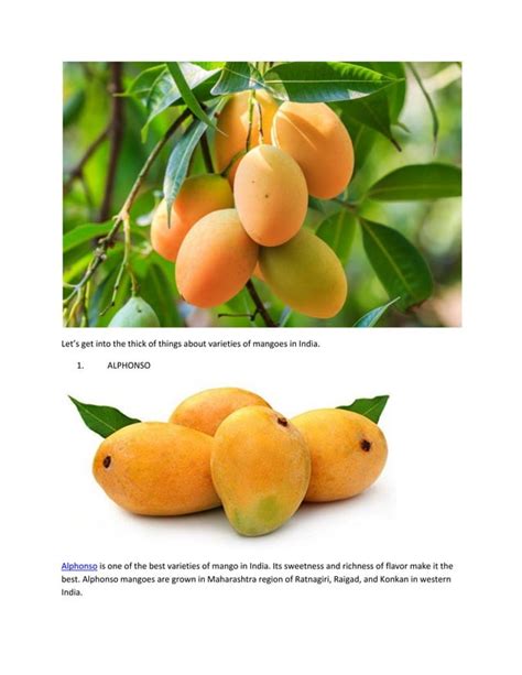 Different Varieties Of Mango Mango Varieties Pdf