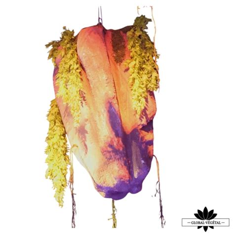 Location Petit Rocher Suspendu Global Végétal®