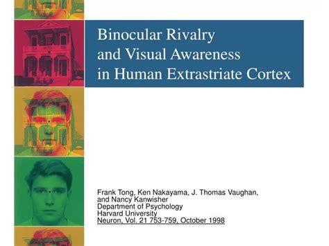 Ppt Binocular Rivalry And Visual Awareness In Human Extrastriate