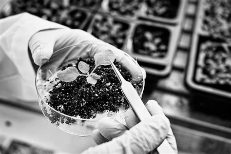 License And Control Of Genetically Modified Organisms Denmark — Cbrain