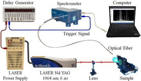 Schematic Set Up Utilized In The Libs Experiment Download Scientific Diagram