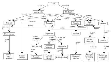 Cell Structure Concept Map Answers Map Of Rose Bowl
