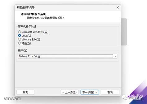 【2024版】最新kali Linux安装教程（非常详细）从零基础入门到精通，看完这一篇就够了linux240184254451 华为开发者空间