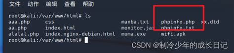 文件包含漏洞详解 CSDN博客