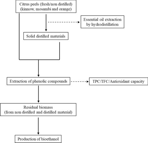 Flow Chart Of Sample Processing Download Scientific Diagram
