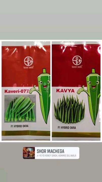 Devesh Singh On Linkedin Kaveriseed Farmerfirstchoice