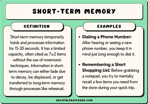 25 Short Term Memory Examples 2025