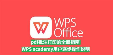 《wps Office 安装与设置全指南：新手用户的详细步骤教程》 Wps官网