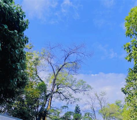记录2 研一、复查、随笔 知乎