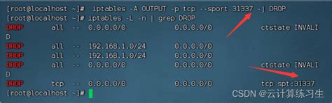 Linux进阶篇：iptables详细教程：概念and作用与使用方法 Csdn博客
