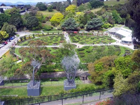 Botanical Gardens Wellington Nz