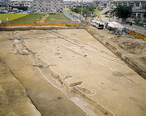 立部遺跡立部古墳群跡F7 2 45 調査区全景 文化遺産オンライン