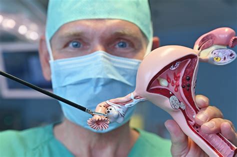 New Article Released Gpi Anatomicals