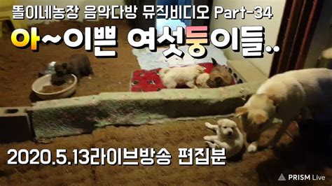 아 이쁜 여섯둥이들 2020 5 13 라이브방송 편집분 똘이네농장 음악다방 뮤직비디오 Part 34 YouTube