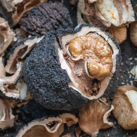 Black Walnuts
