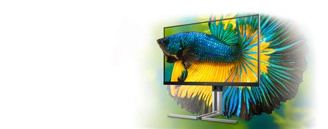 U3 Graphic Pro Line AOC Monitors