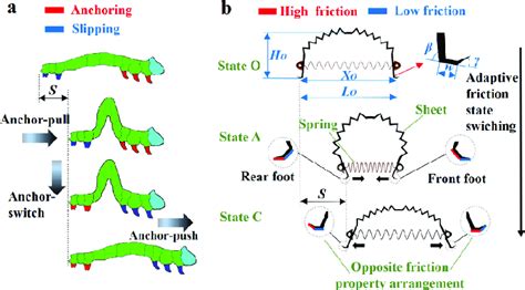 A Illustration Of The Inchworm Crawling Principle And B Concept Download Scientific Diagram
