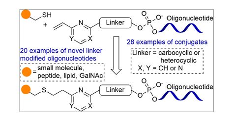 Thiol Specific Linkers For The Synthesis Of Oligonucleotide Conjugates Via Metal Free Thiol Ene