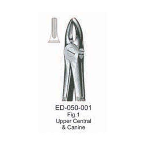 Elite Extraction Forceps Upper Incisor And Canine Dental Store Lk