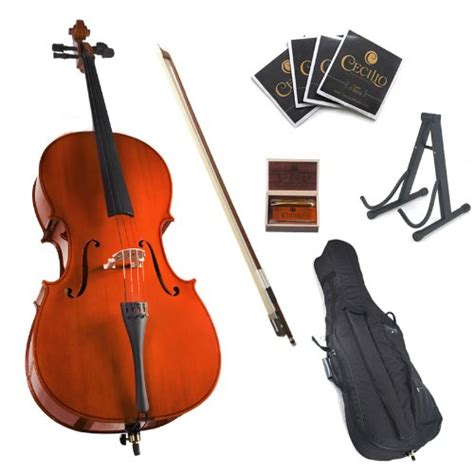 String Instrument List And Complete Guide Pro Music Vault