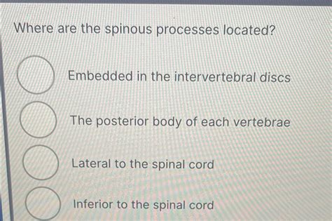 Solved Where Are The Spinous Processes Locatedembedded In