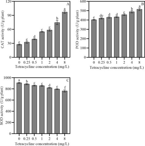 Antioxidase Activity Response Of Tetracycline Treatments A Cat Download Scientific Diagram