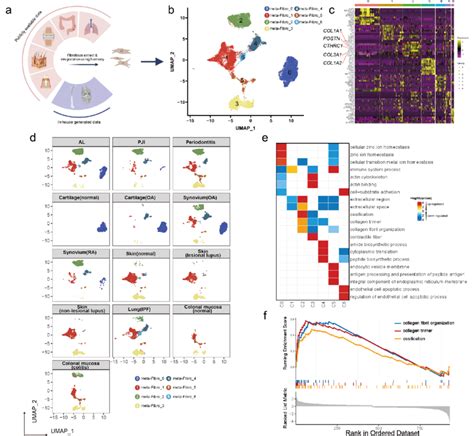meta analysis of human fibroblast scrna seq data a illustration of the