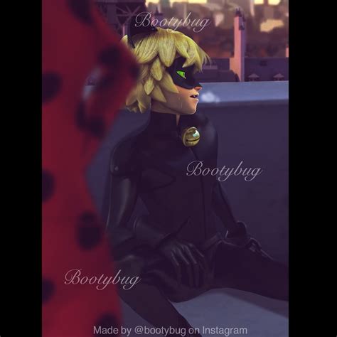 Pin On Miraculous Ladybug