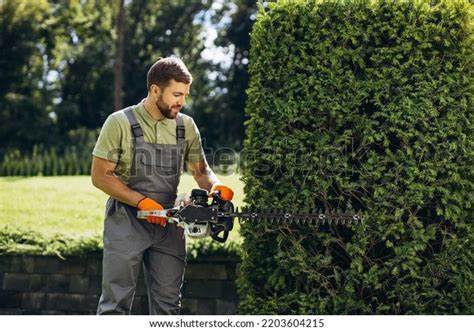 Cutting Tree Service Images Stock Photos D Objects Vectors Shutterstock
