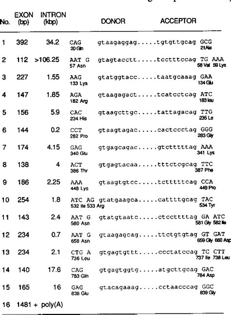 Figure 2 From Genomic Structure And Chromosomal Mapping Of The Mouse