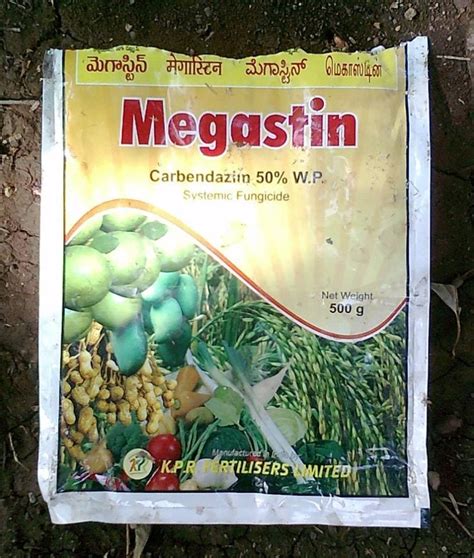 How To Treat Grass Rust Disease My Greenery Life